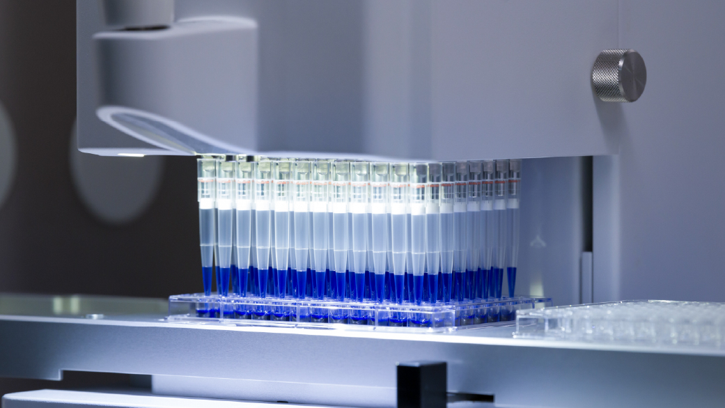 Fast and Efficient Sialic Acid Clone Selection Using Lectin-Based High-Throughput Screening